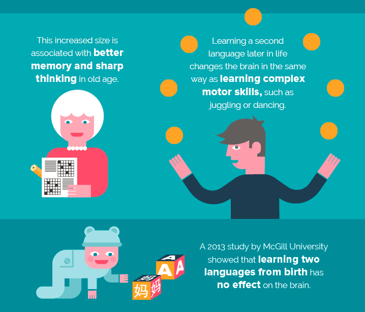 How Learning Languages Affects Our Brain – Transform the Globe